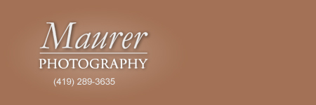 Organization - Pro Photography Online Sales